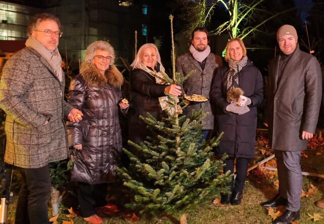 Immobilien Brüder Riha: 100 Christbäume in der Frauengasse verschenkt ...