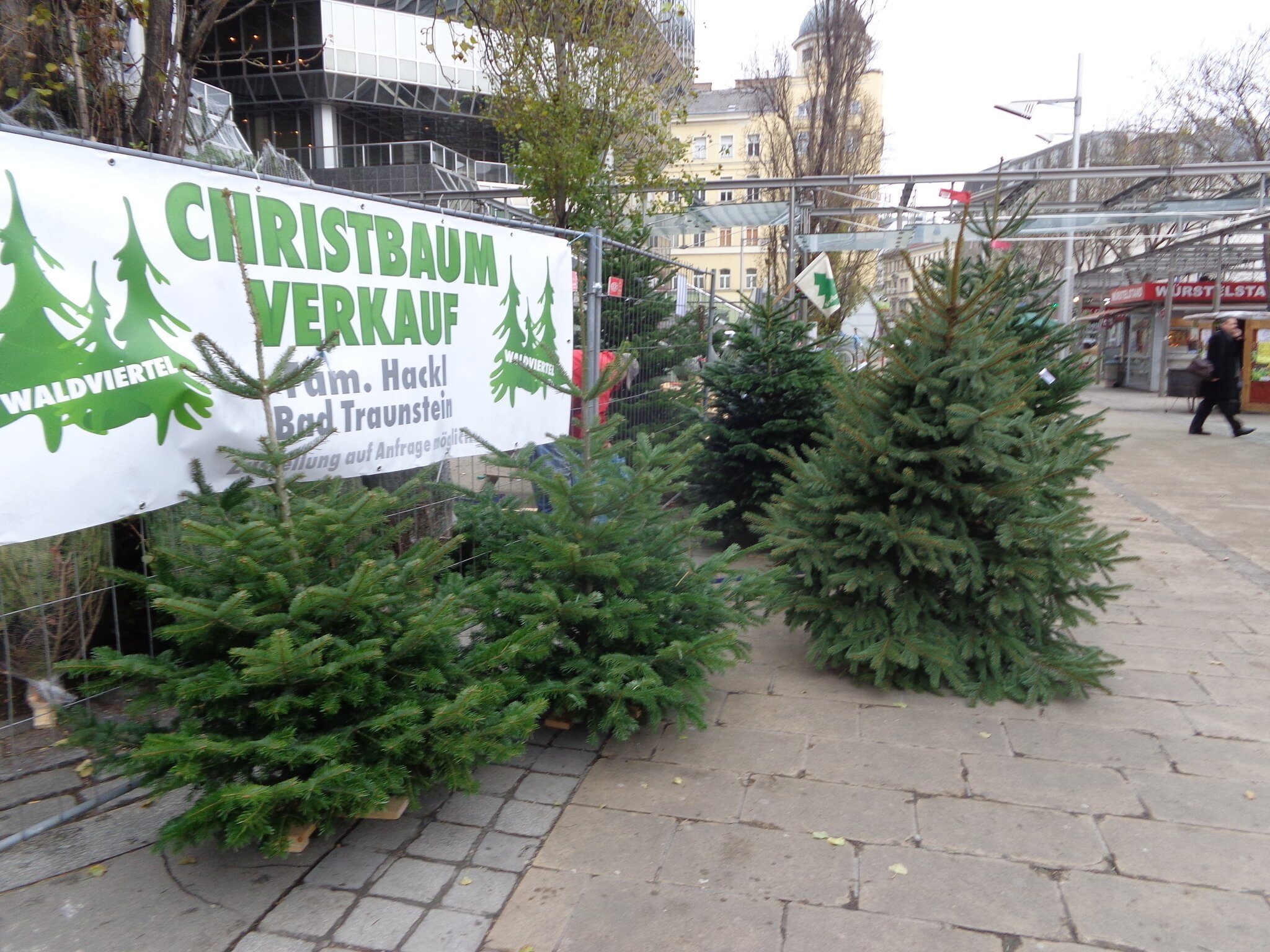 Verkaufsstellen 2022: Hier kannst du deinen Christbaum im 9. Bezirk ...