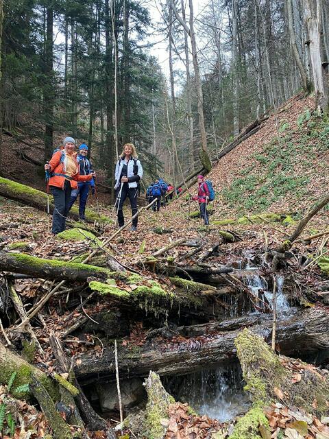 Alpenverein Enns: Wanderer erklommen zwei 1000-er Gipfel im Winterkleid ...