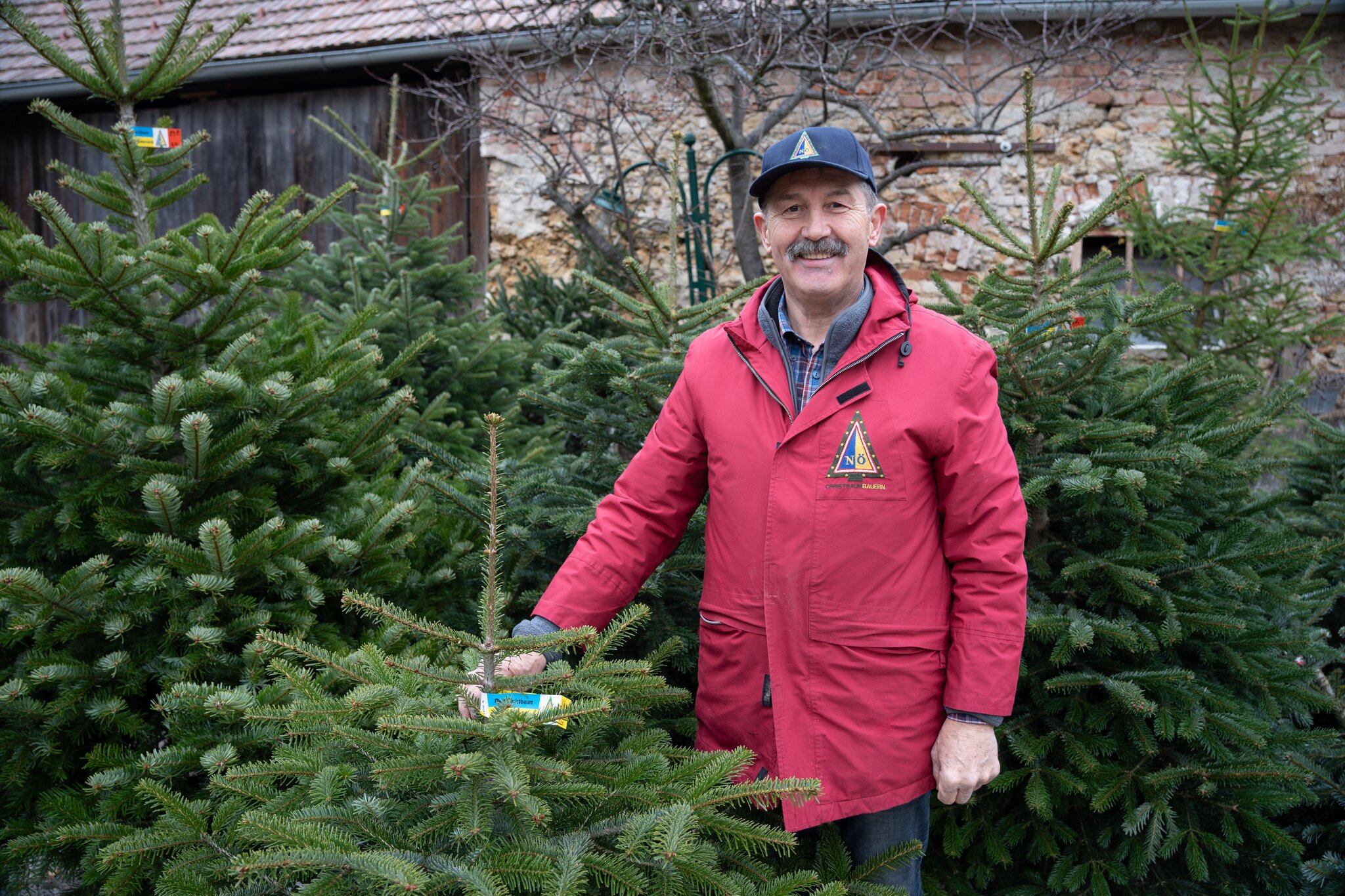 Nachrichten aus dem Bezirk zusammengefasst: Kurz & bündig - Neunkirchen