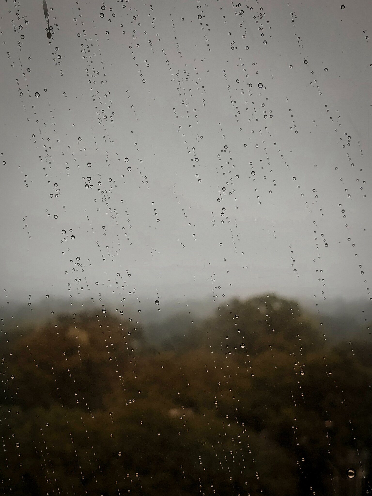 Wolkig und regnerisch: So wird das Wetter am Freitag im Burgenland ...