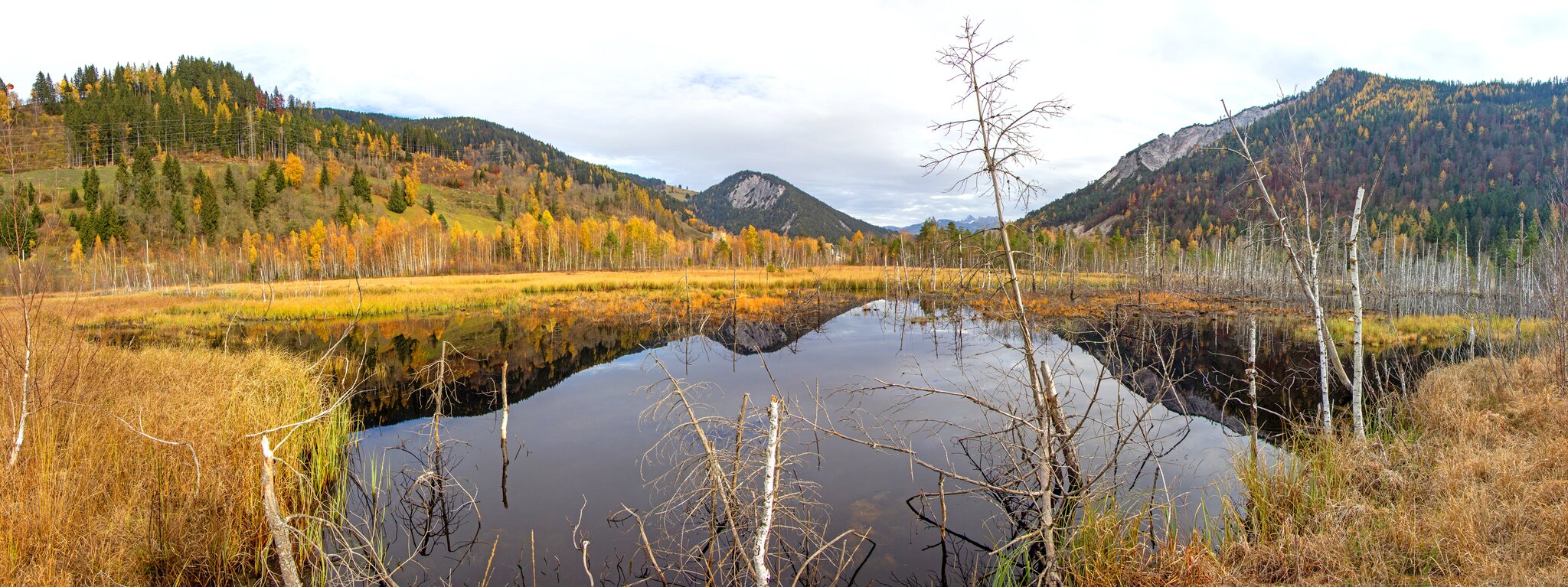 Neue Verordnung: Mandlinger Moor ist jetzt geschützter Landschaftsteil ...