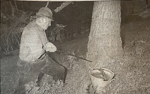 Altes Handwerk: Lärchenpech ist ein wertvoller Rohstoff - St. Veit