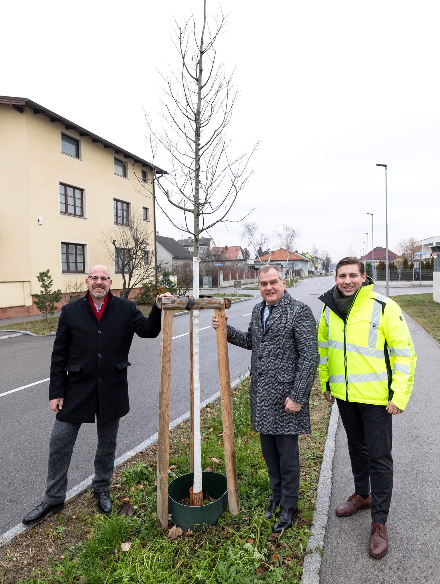Baumpflanzungen: 16 neue Bäume für die Heinrich Sauer-Gasse - Wiener ...
