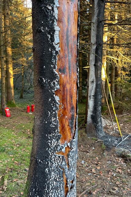 Sieben Feuerwehren im Einsatz: Brand einer Hütte am Attersee - Vöcklabruck