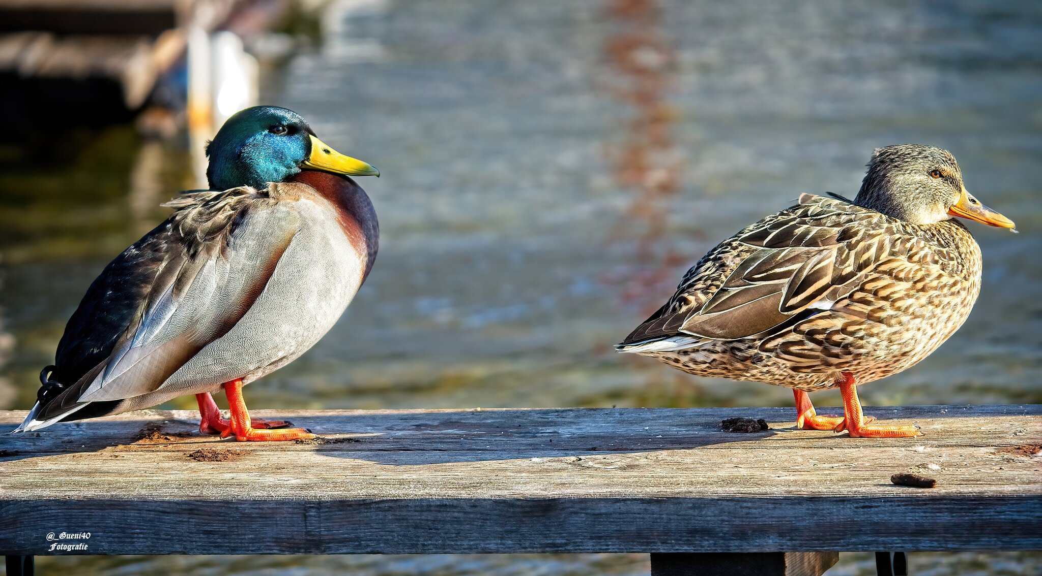 durch unsere schöne Natur.........: He du da,mach etwas mit ...