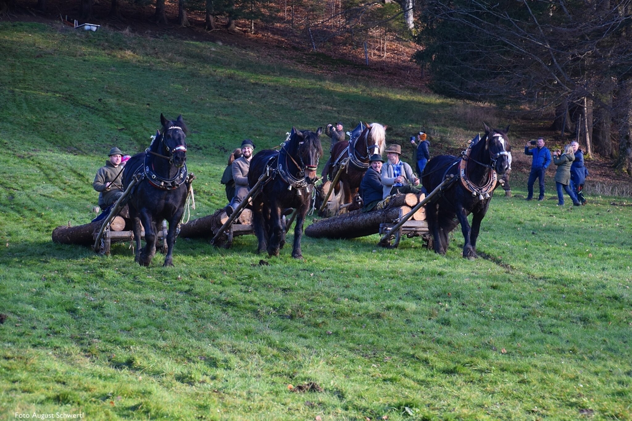 "Tiefgrabna ROSSERER ": Holzbringen am Lackenberg/ Tiefgraben ...