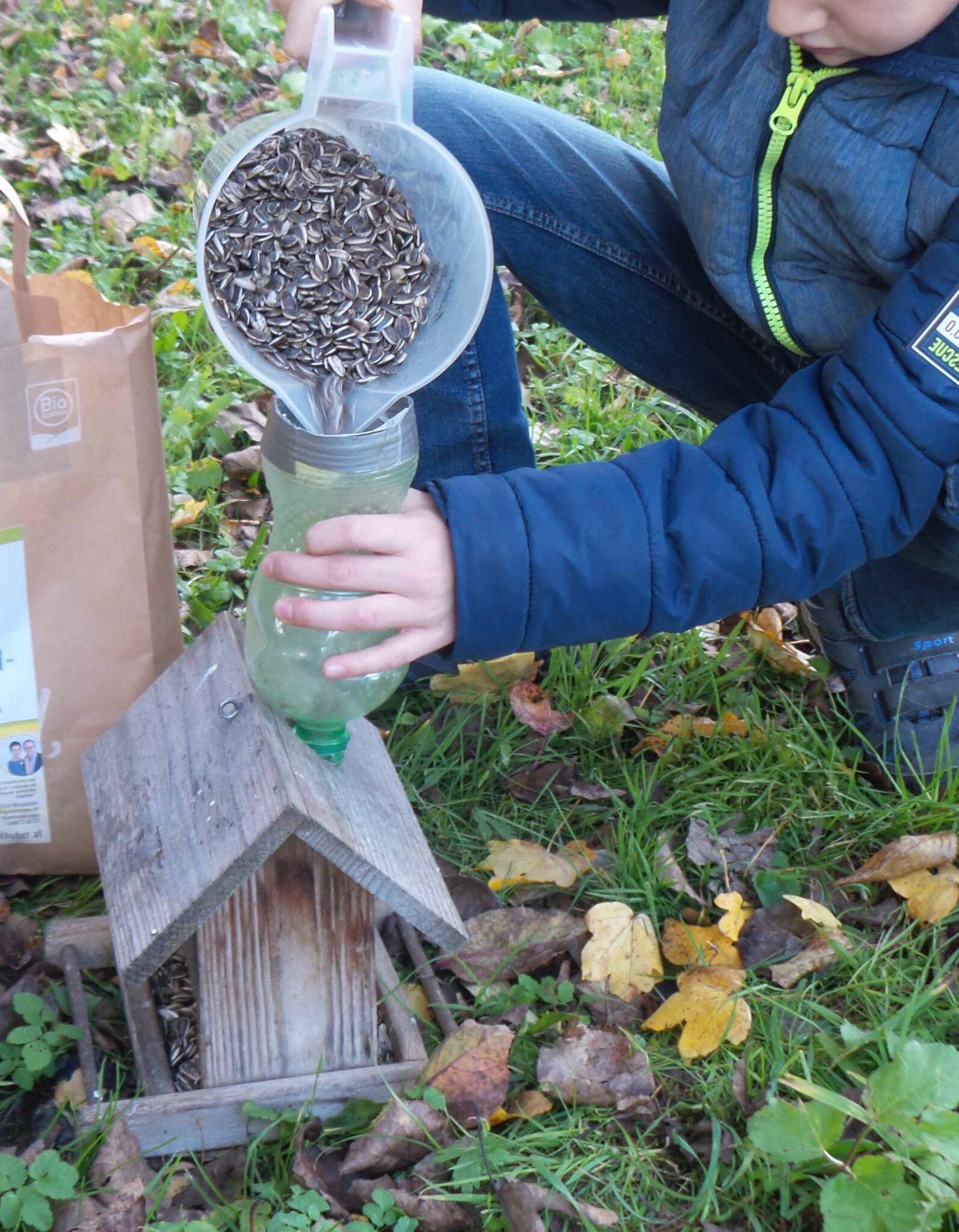 Infonachmittag: Was die heimischen Vögel an Futter wirklich brauchen - Enns