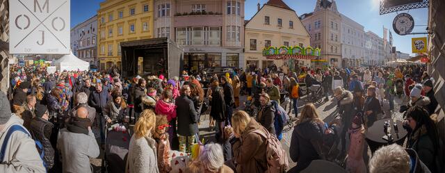 Fasching in Wels: 900 Narren ziehen wieder durch die Innenstadt - Wels ...