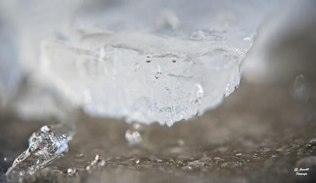 durch unsere schöne Natur.........: Interessante Motive findet man in ...