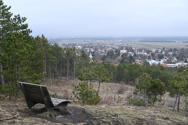 Ausflüge und Sehenswürdigkeiten: Wanderung von Brunn an der ...