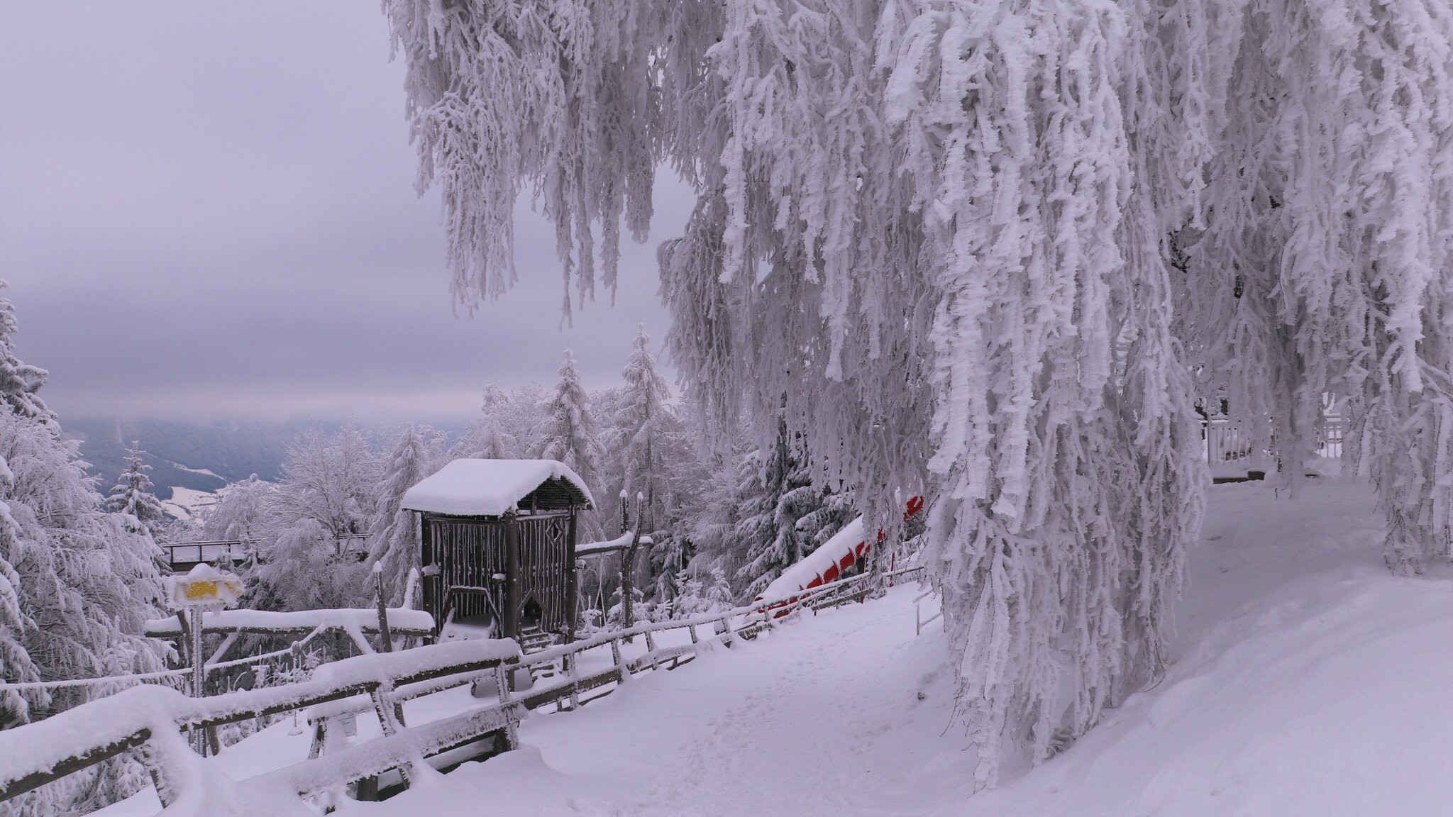 Winterliche Impressionen: Der RAUREIF hat heute den GRÜNBERG *VERZAUBERT* - Vöcklabruck