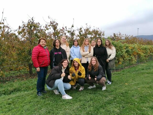 HLM HLW: Schüler besuchen Obsthof und Weingut - Krems