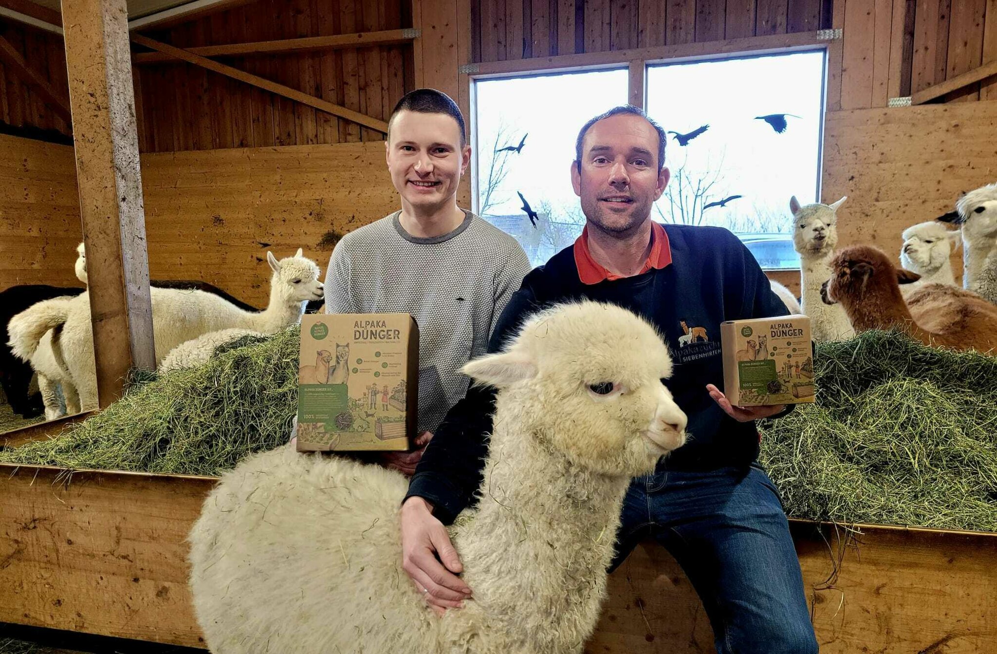 Frohnleiten: Innovativ: Nachhaltiges Düngemittel aus Alpakahäufchen ...