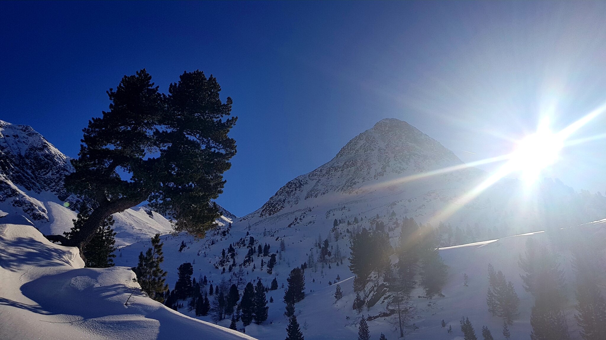 Pures Glücksgefühl!: Winter im Zirbenwald - Osttirol