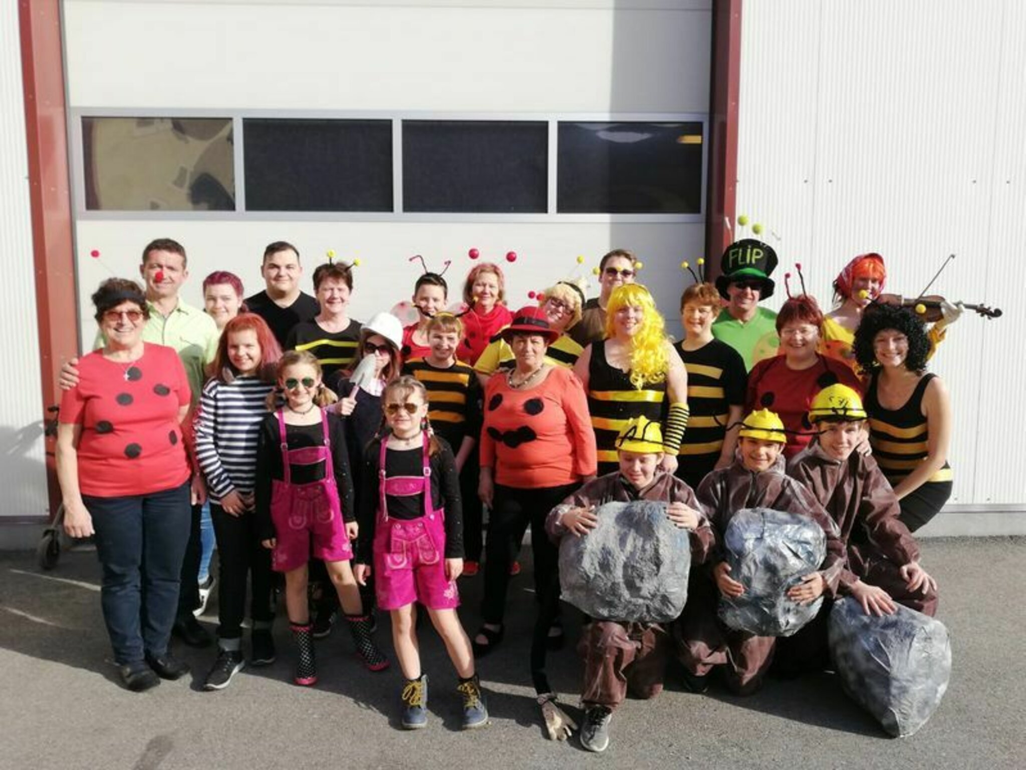 Bezirk: So wird Fasching im Bezirk gefeiert - Herzogenburg/Traismauer