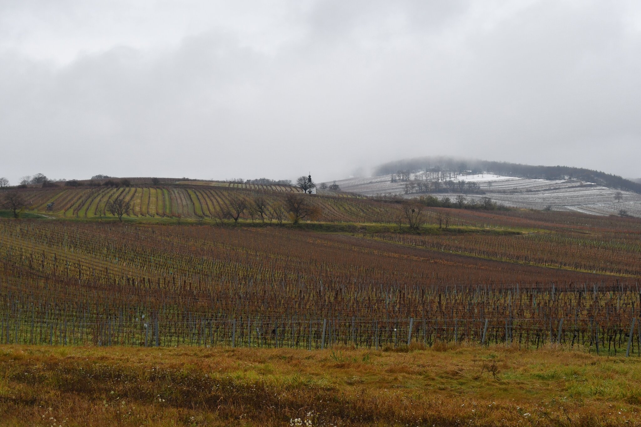 Wind und Wolken: So wird das Wetter am Samstag im Burgenland - Güssing