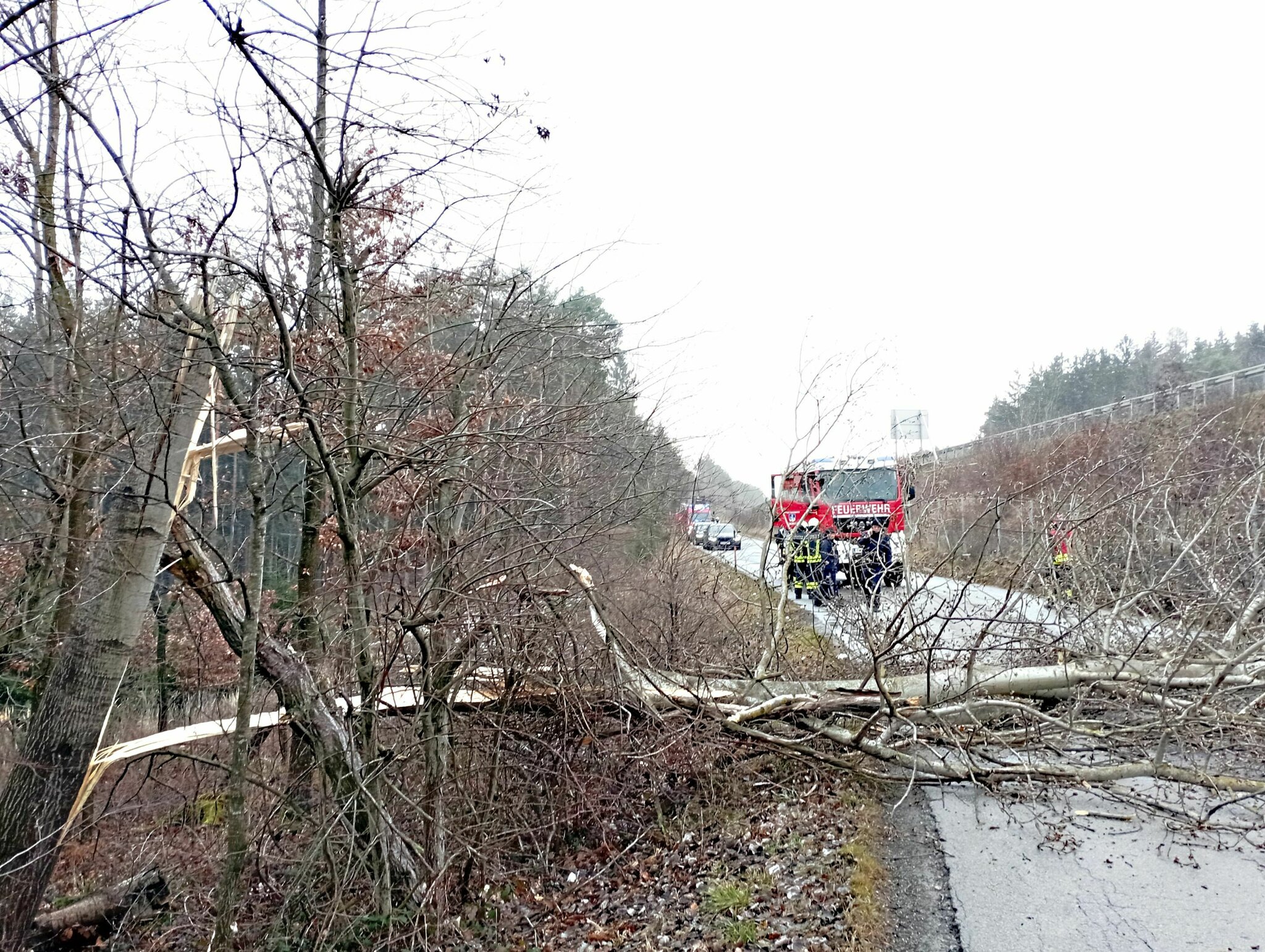 Sturmschäden in Pinkafeld: Baum blockierte komplette Straße - Oberwart