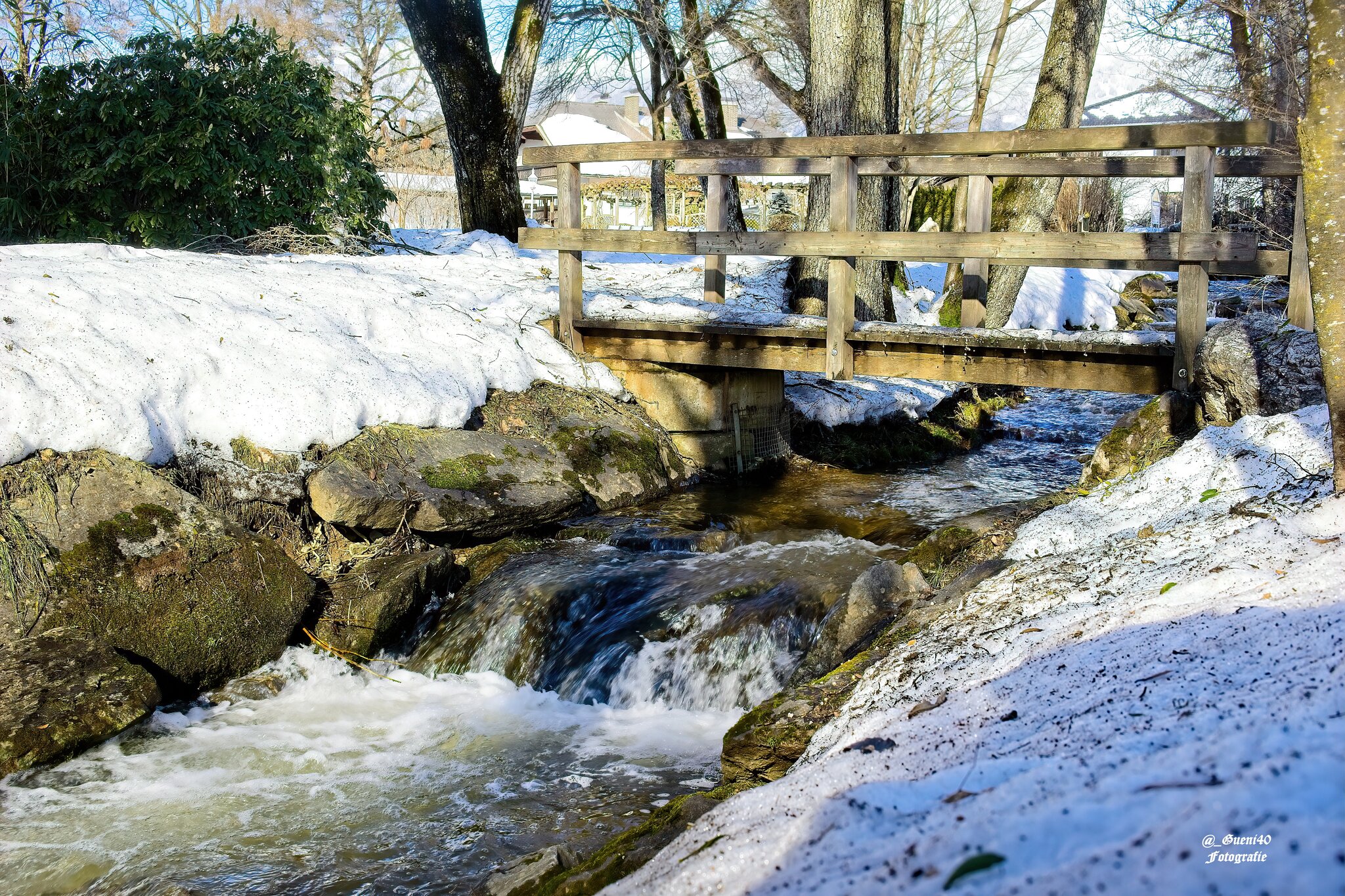 durch unsere schöne Natur.........: Die frostigen Motive im Park in ...