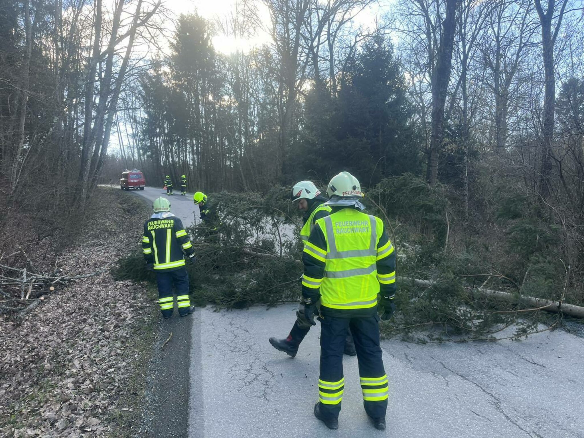 Feuerwehreinsätze am Wochenende: Sturm riss im Bezirk Güssing zahlreiche Bäume um - Güssing
