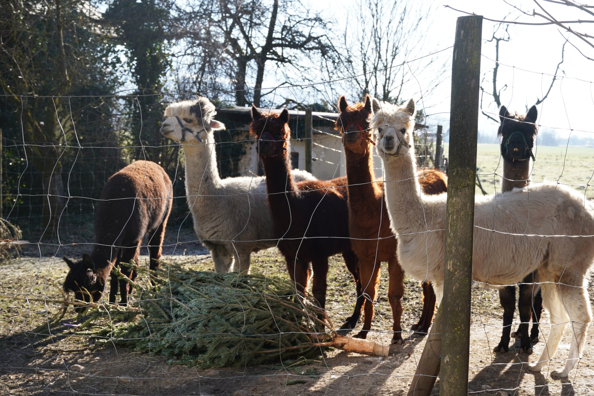 Erlebnisbauernhof Grödig: Eine bunte Tour durch Hof, Wiesen und Wälder ...