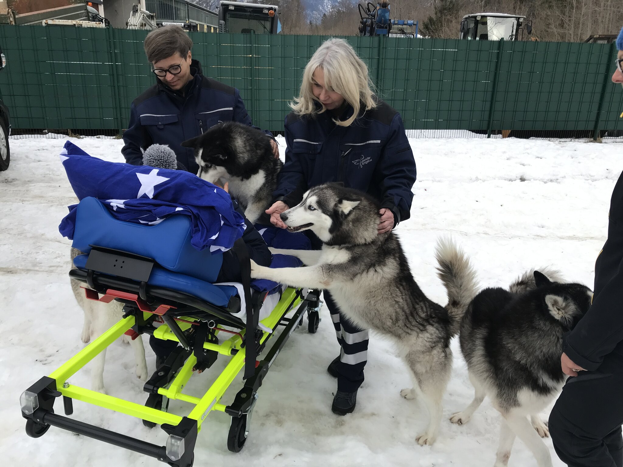 Einmal noch auf eine Husky Ranch: Ebenseer erfüllen schwerkranker ...