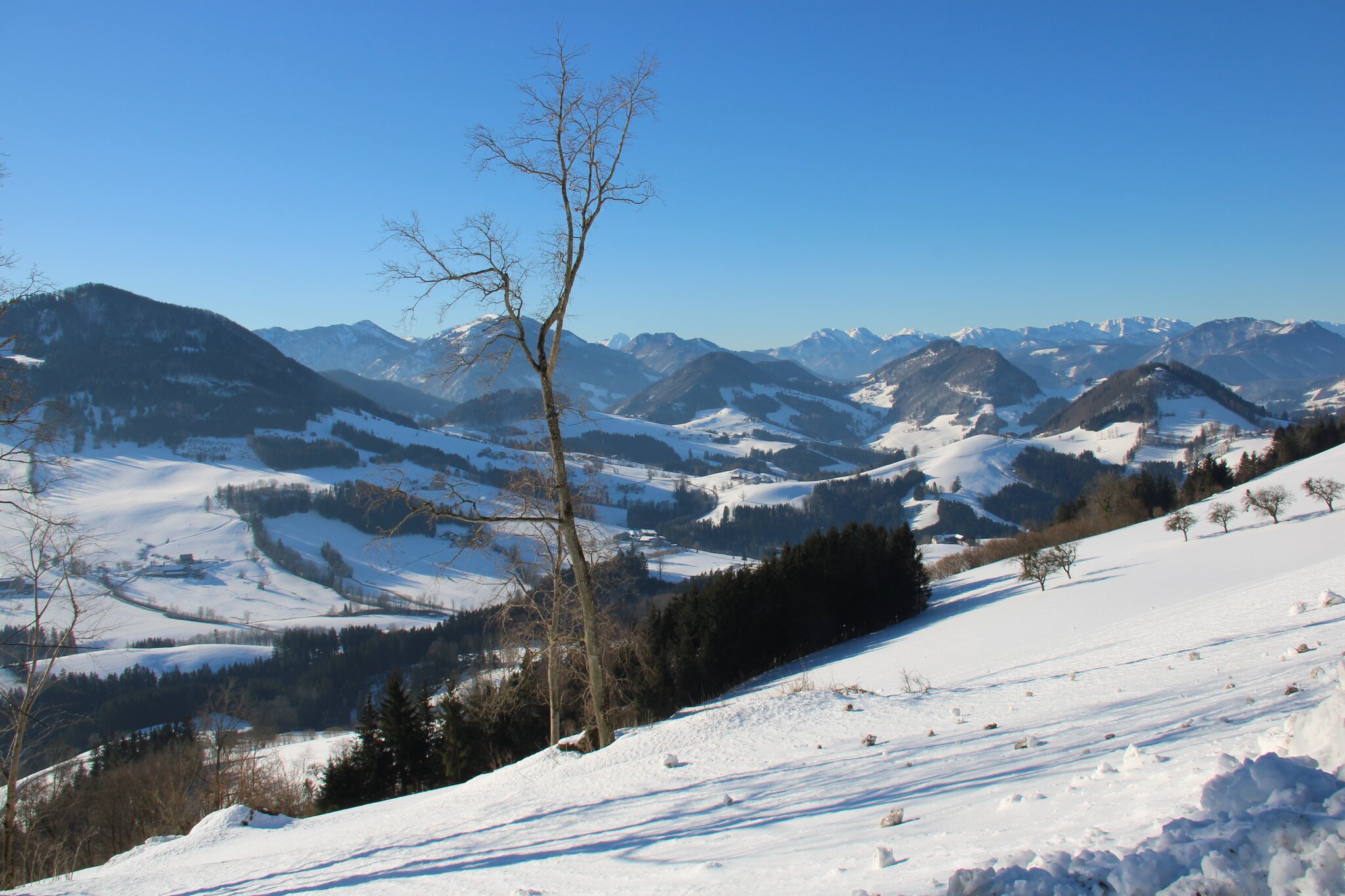 Leserfoto: Winterwonderland in Maria Neustift - Steyr & Steyr Land