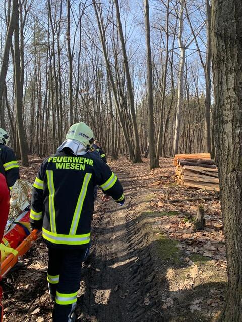 Einsatz in Wiesen: Eine Person nach Waldunfall verletzt - Mattersburg