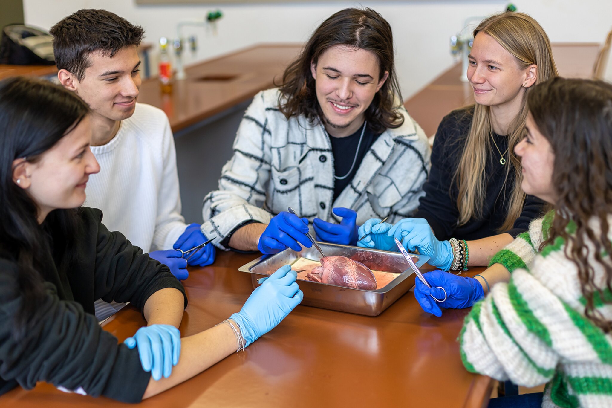 Workshops mit Studenten: Erste Einblicke ins Medizinstudium für ...