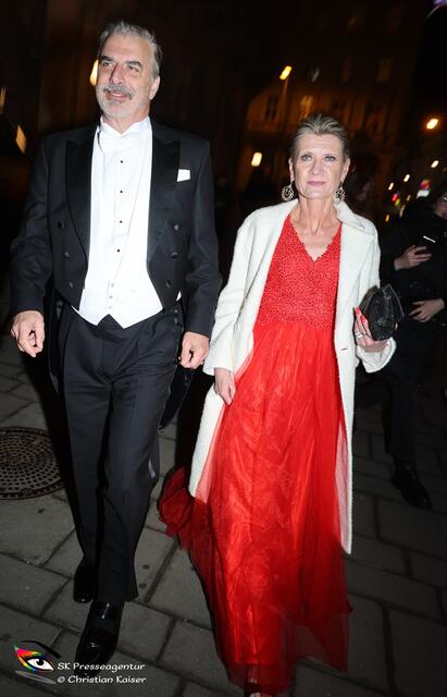 Glanz & Glamour: Das waren die schönsten Kleider am Wiener Opernball - Wien