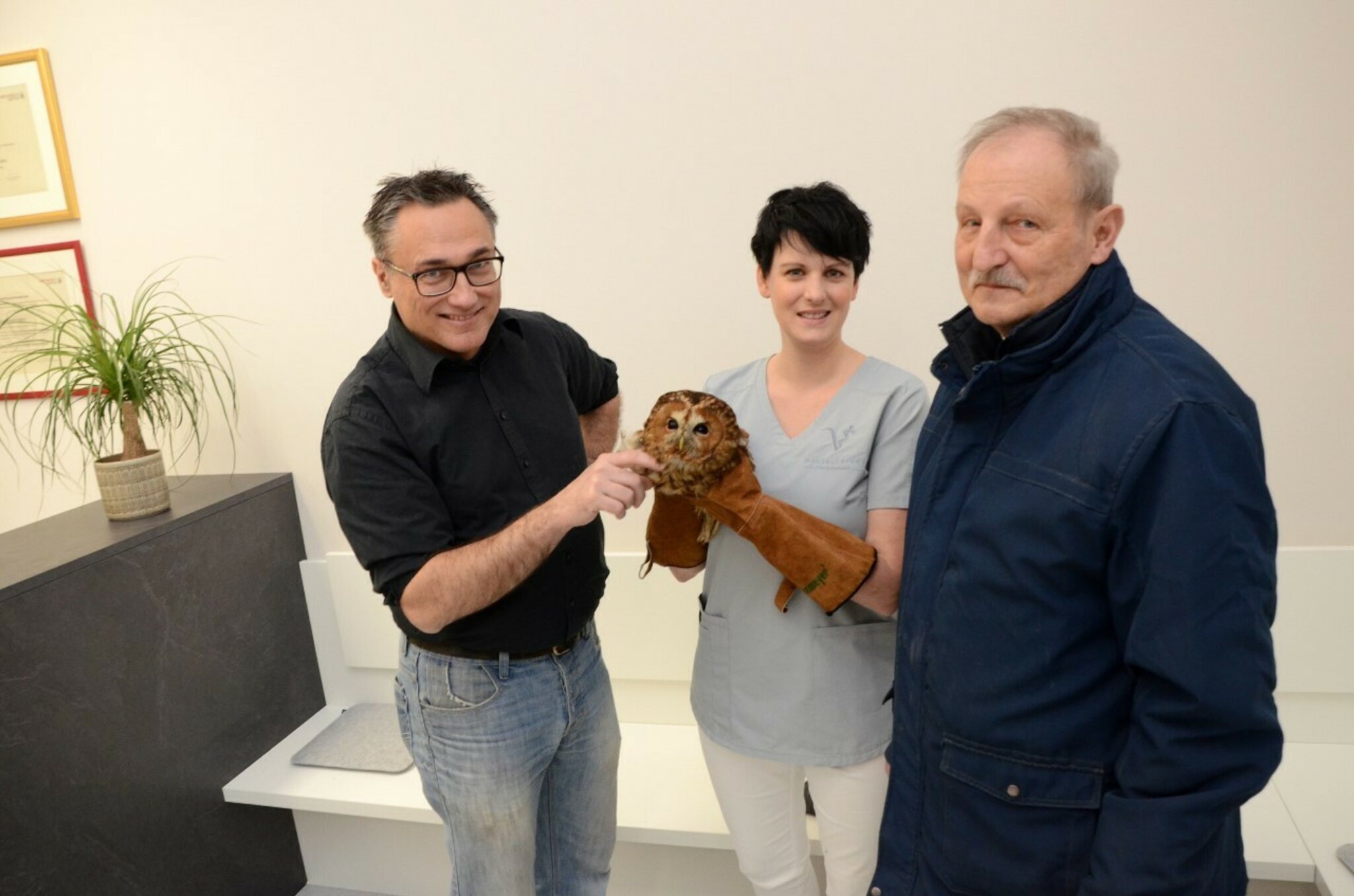 Tierarzt Prambachkirchen: Unfallchirurgen helfen "Kauz Karl" durch ...