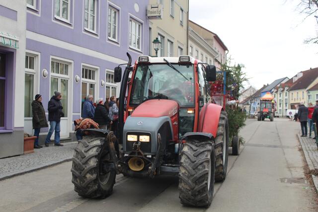 Bildergalerie: Großer Faschingsumzug in Litschau - Gmünd