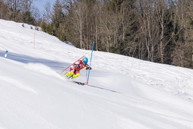Paraski, Weltcup in Kitzbühel: ÖSV-Paraski-Asse trainierte am Ganslern ...