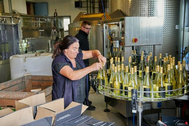 Most in aller Munde: Der Most liegt wieder im Trend - Kirchdorf
