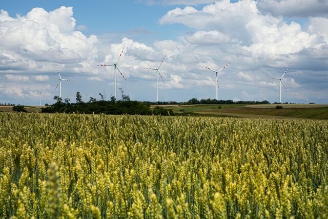 Erneuerbare Energien: W.E.B Windenergie AG begibt neue Anleihe ...