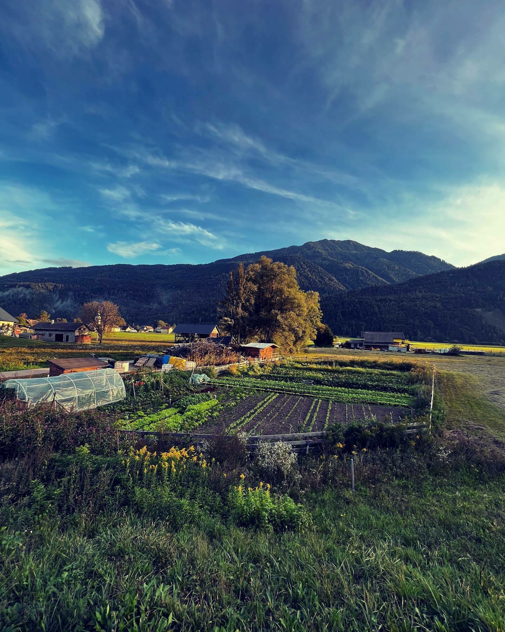 Gemüsebetrieb Naturhof Zimmermann: „In mir fließt grünes Blut“ - Gailtal