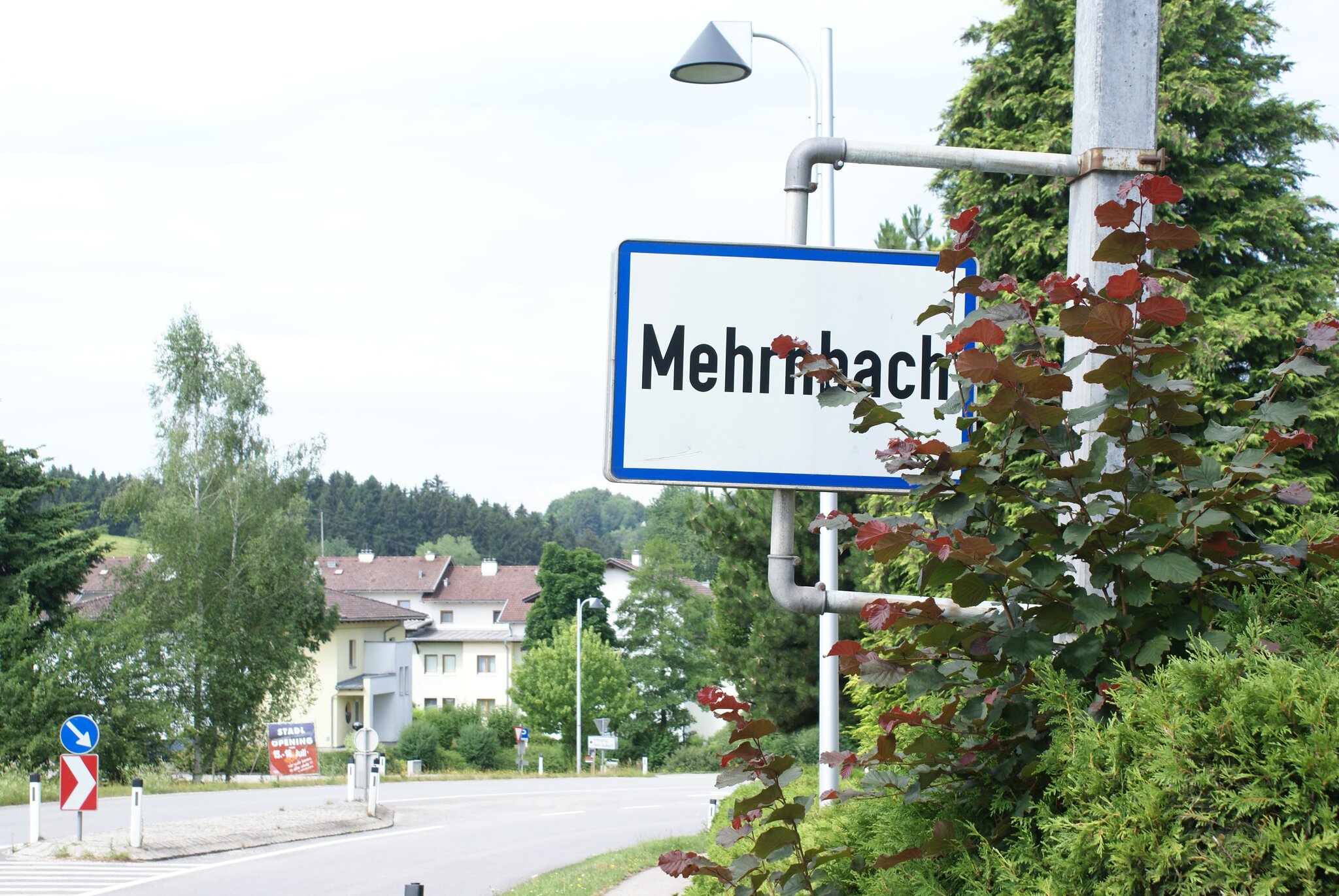 Pfarrgemeinde Mehrnbach & Ora-International: Hilfsgüttersammlung für ...