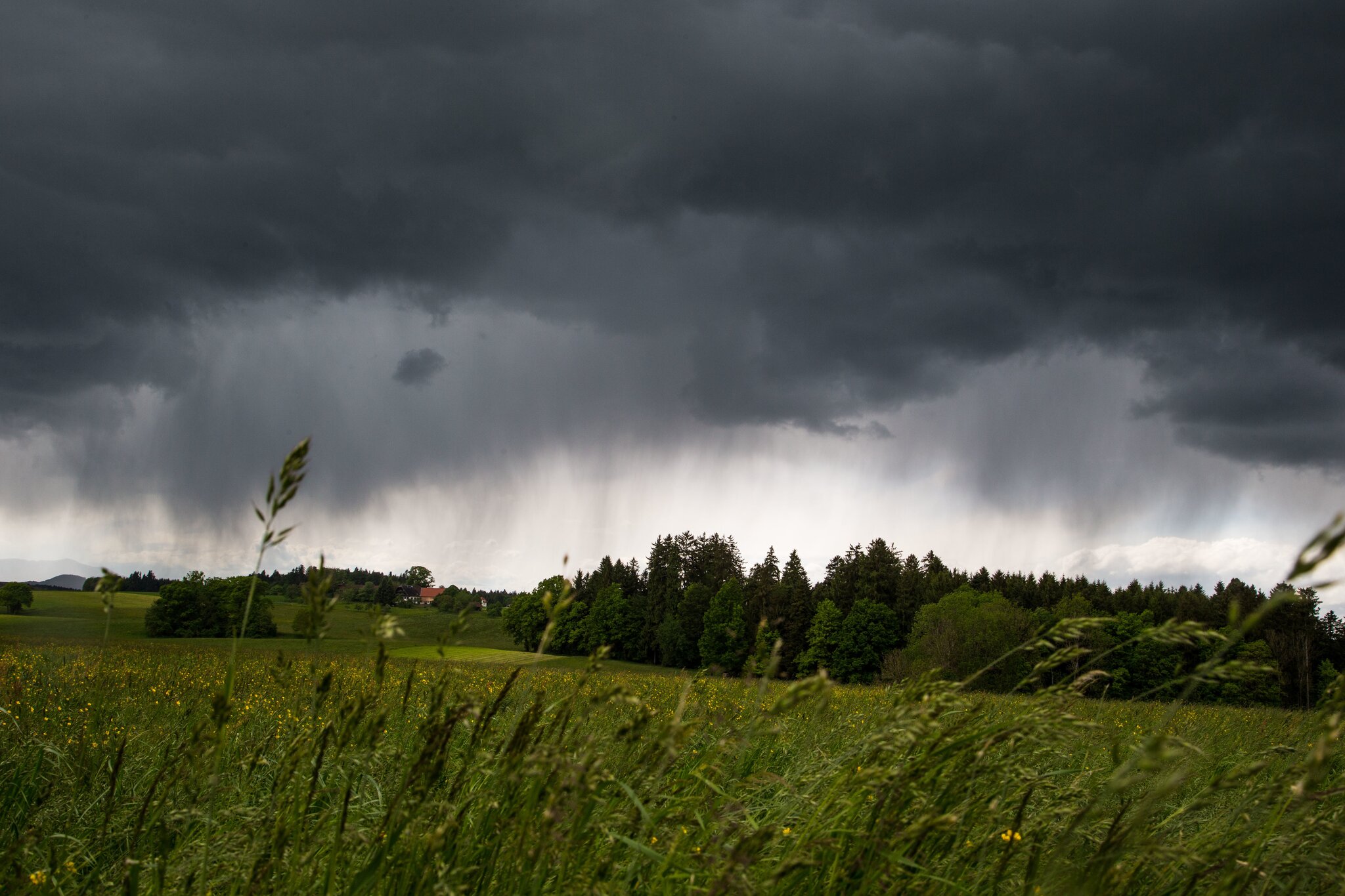 Regen & Sturm: So wird das Wetter am Donnerstag im Burgenland - Burgenland