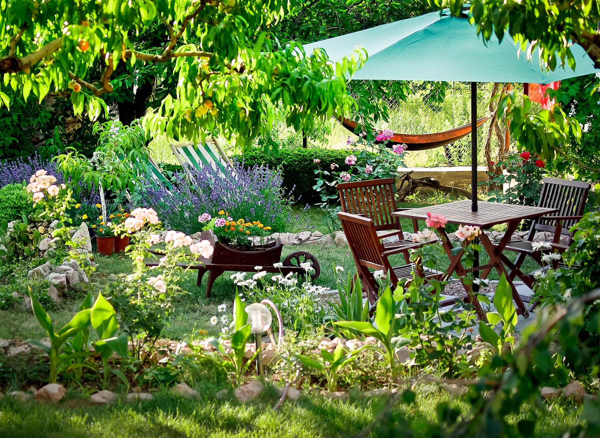 Start in die grüne Saison: Im Garten mehr auf Artenvielfalt achten ... Start in die grüne Saison: Im Garten mehr auf Artenvielfalt achten ...
