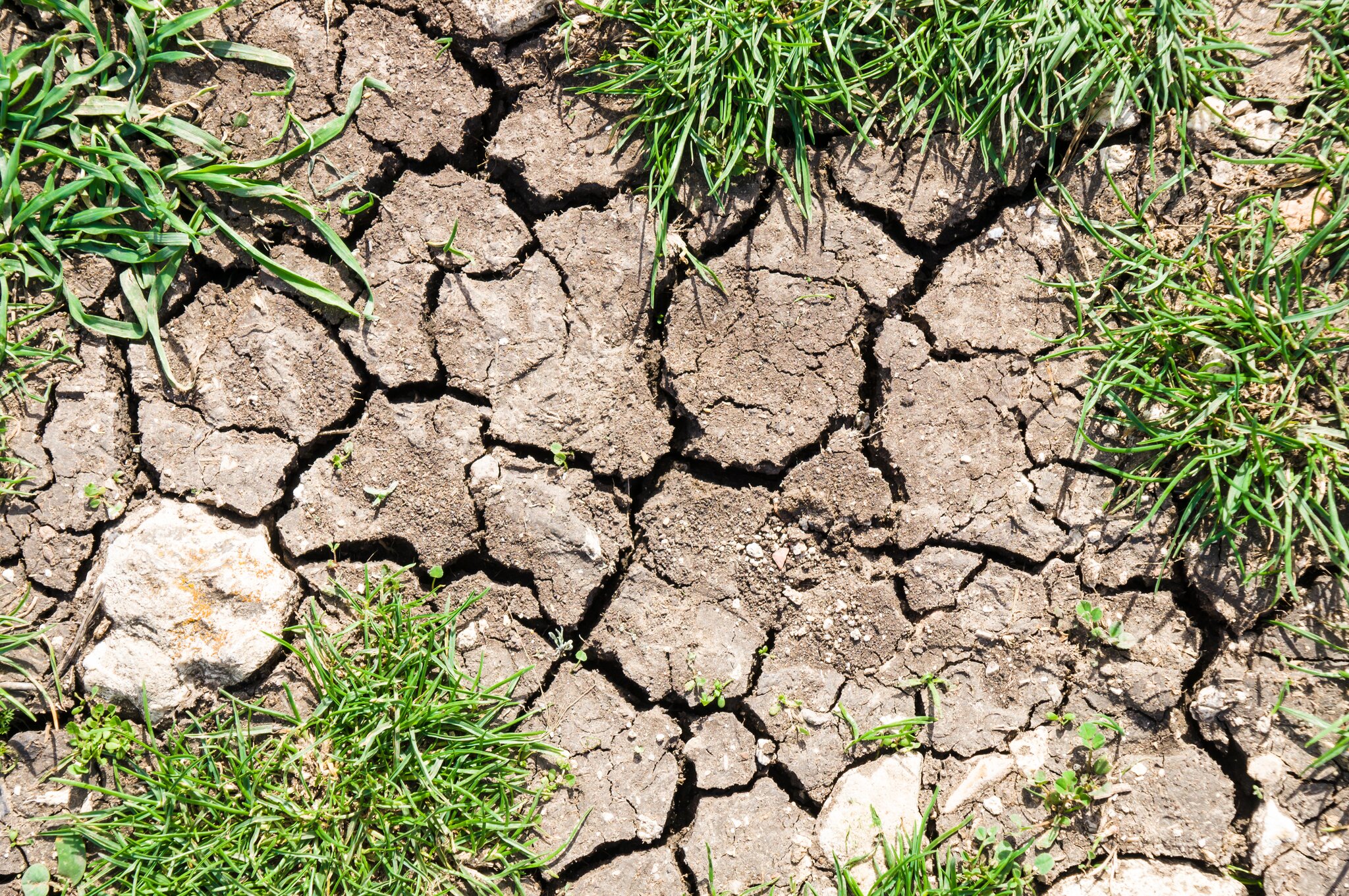 Morgen Weltwassertag, aber: Trockenheit macht Kärnten zu schaffen - Kärnten