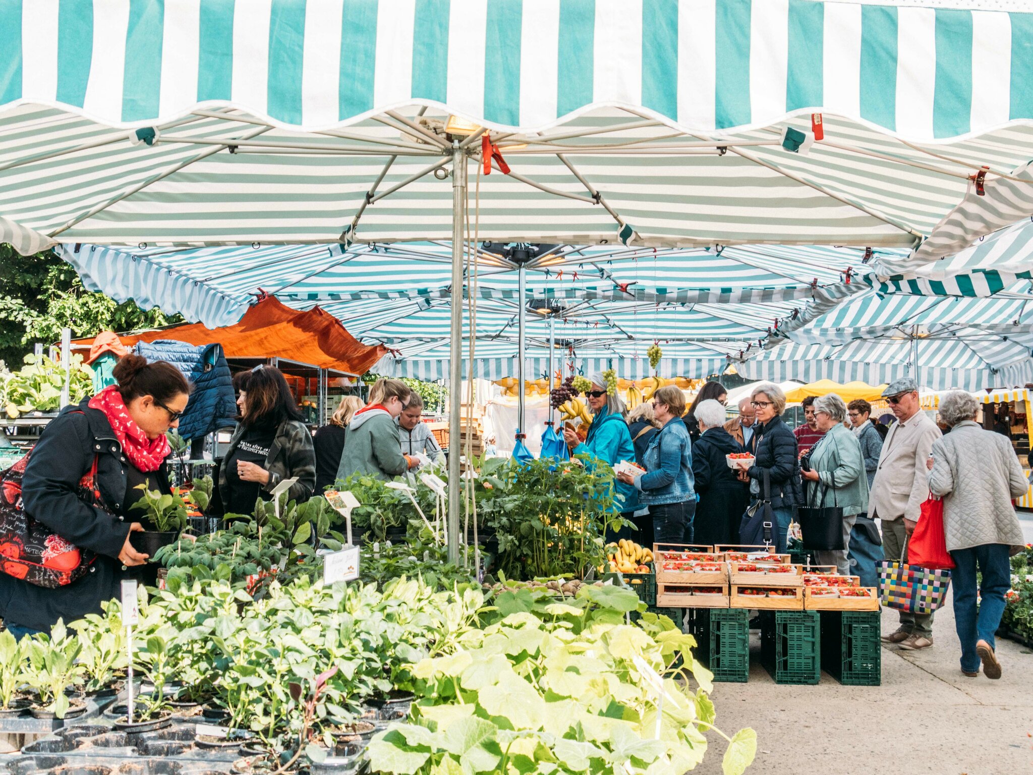 Bauernmarkt Bregenz in Bahnhofstraße: Kaiserstraße wird saniert - Bregenz