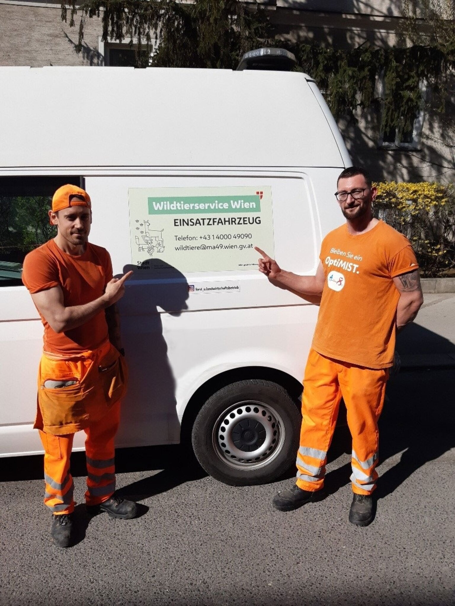 Wien: Verletzter Dachs wurden von Mitarbeitern der MA 48 gerettet - Penzing