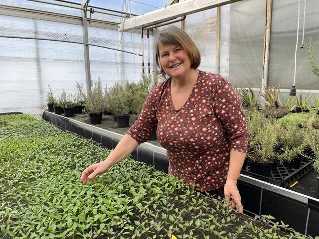 Vielfaltsgärtnerei Engelhartszell: KlarlBäurin geht "Back to the Roots ...