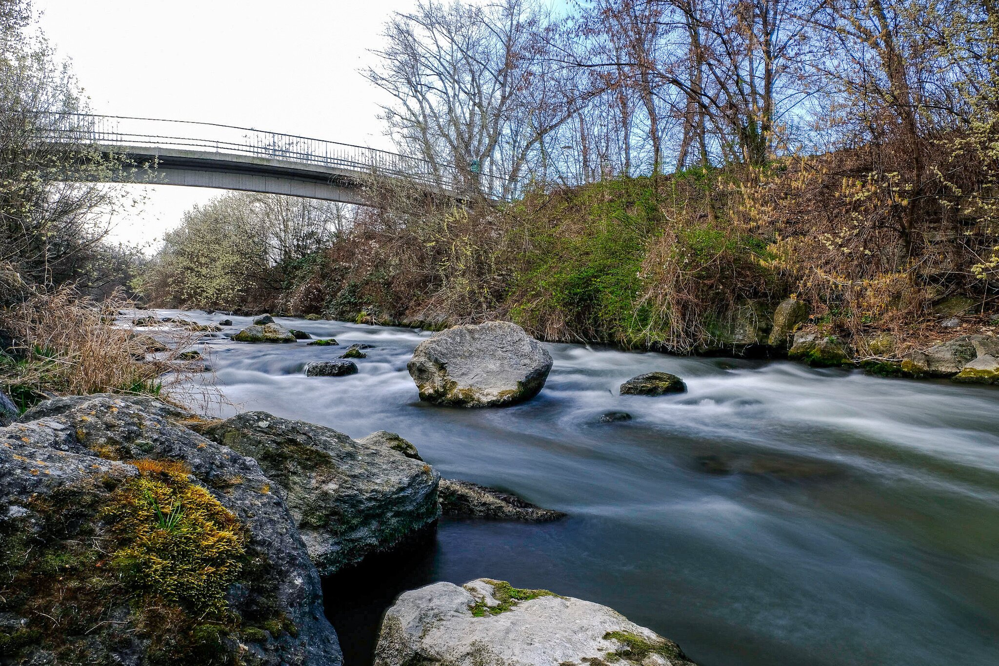 Bilder der Woche: Die Schnappschüsse der Woche aus der Region Schwechat ...