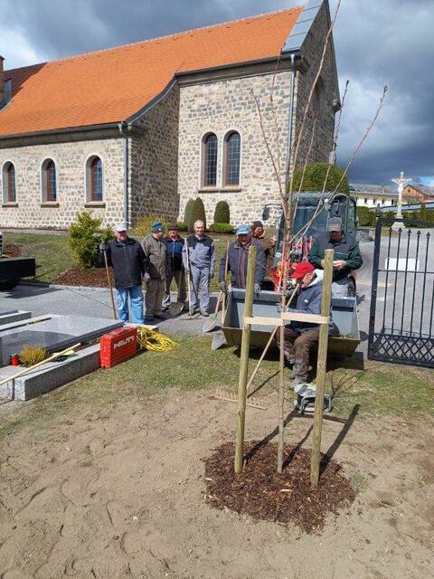 Neugestaltung: Friedhof in Seyfrieds auf Vordermann gebracht - Gmünd