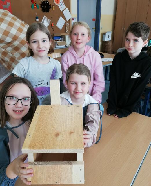 Volksschule Forchtenstein: Schüler bauten Nistkästen für Vögel ...