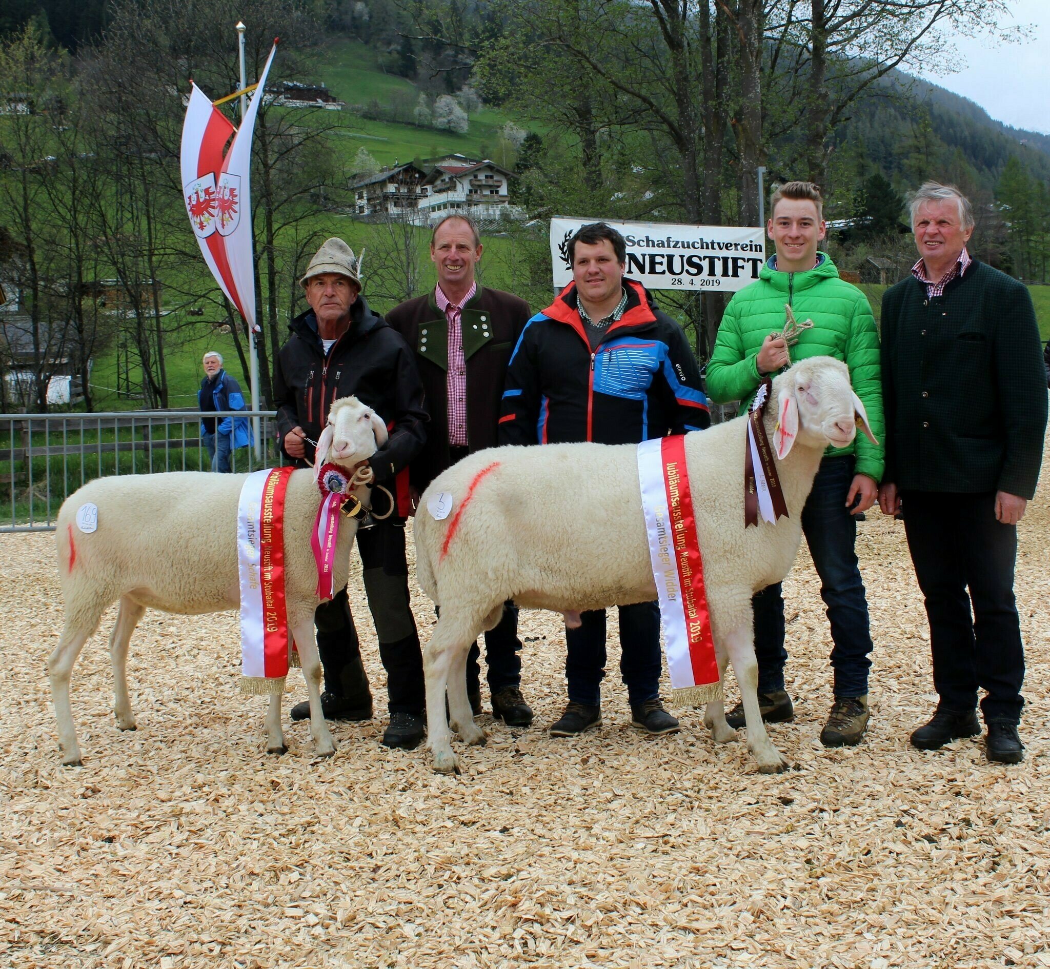 Gebiets-Schafausstellung: Gebietsaustellung in Neustift - Stubai-Wipptal