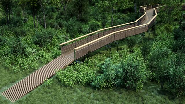 Über der Natur schweben: Neuer "Strauchwipfelweg" in der Stockerauer Au ...