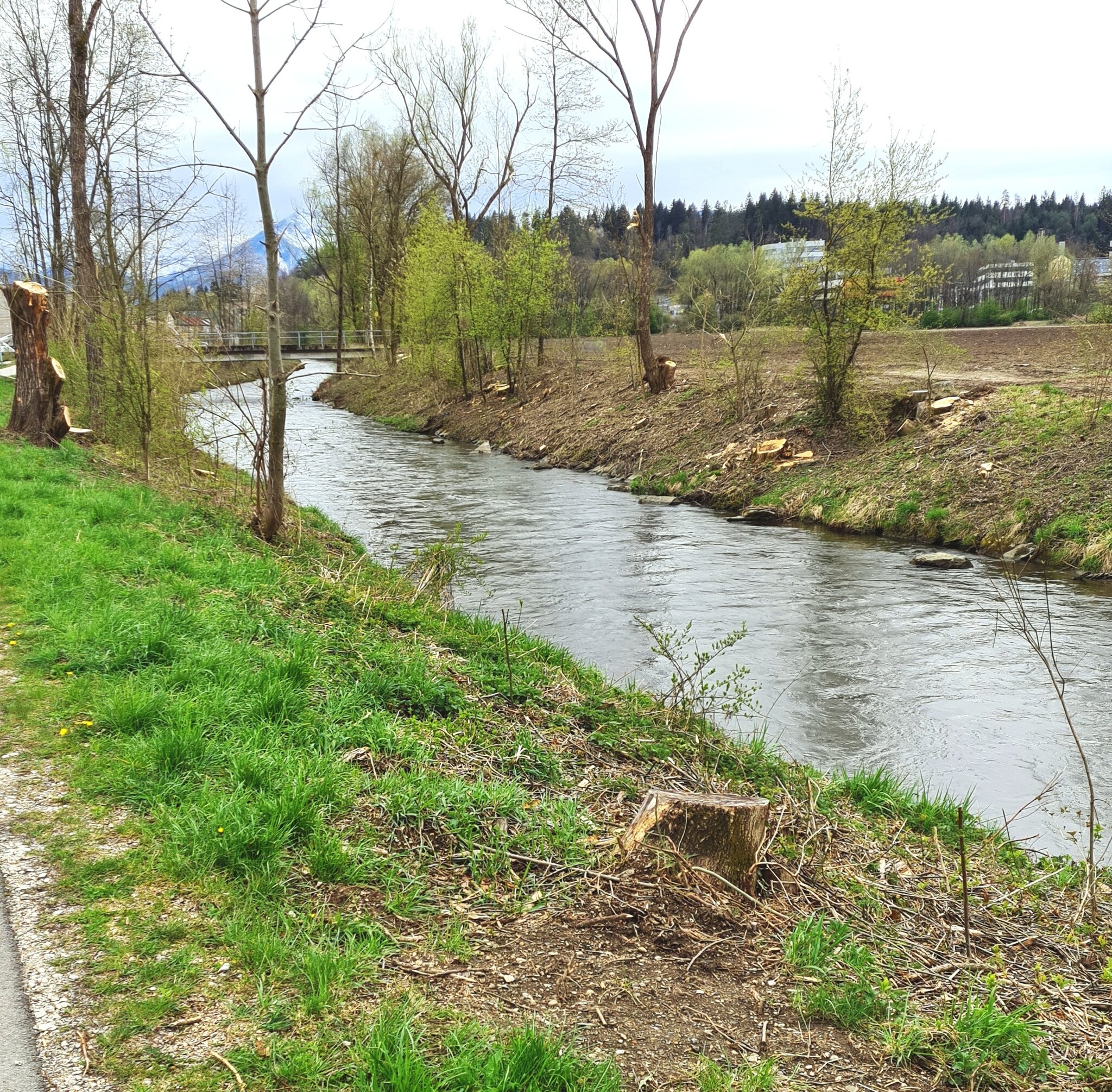 Glan Fluss: Die Glan begrüßt wieder sichtbar die Landeshauptstadt ...