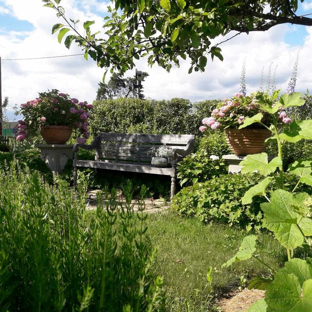 Bildergalerie: Der schönste Garten des Landes ist in St. Georgen/Walde ...